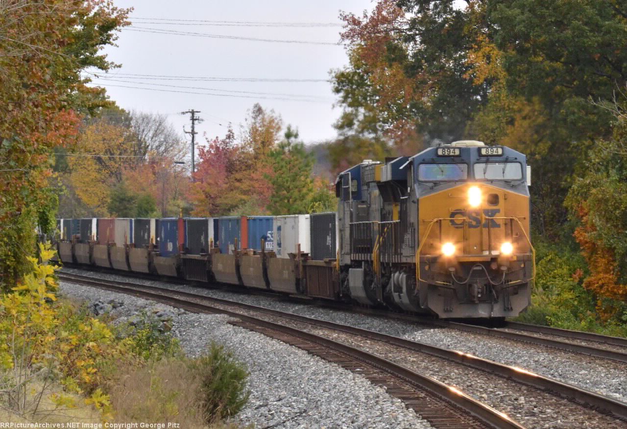 CSX 894 and train Q141
